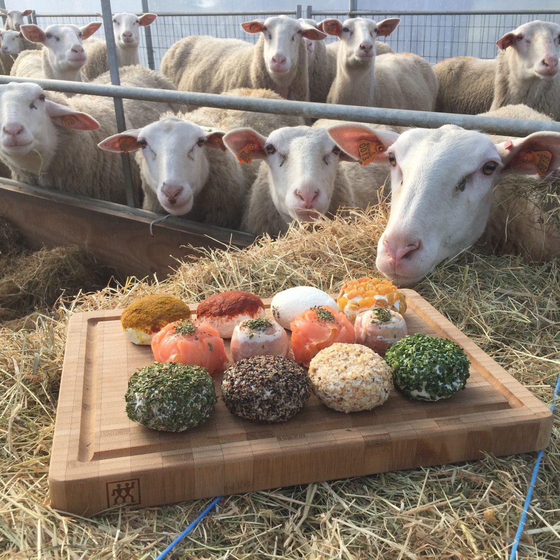 Breydelham en Breydelspek - Lekker Oost-Vlaams